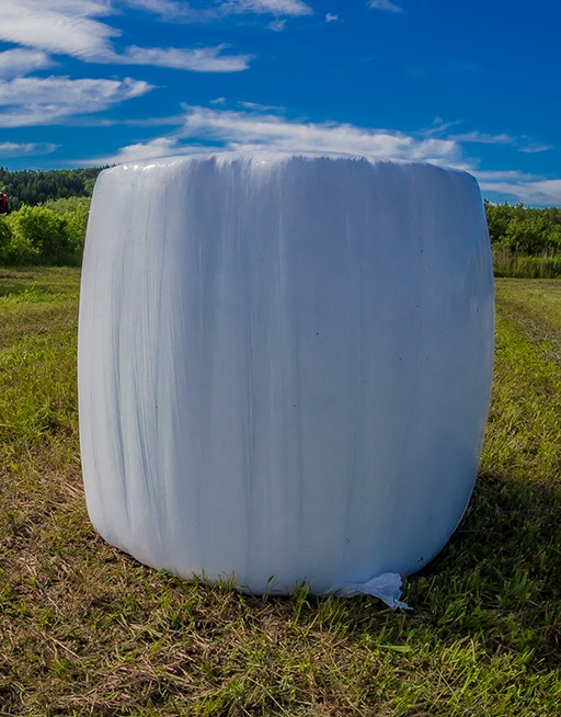 XF Films - Inteplast Group